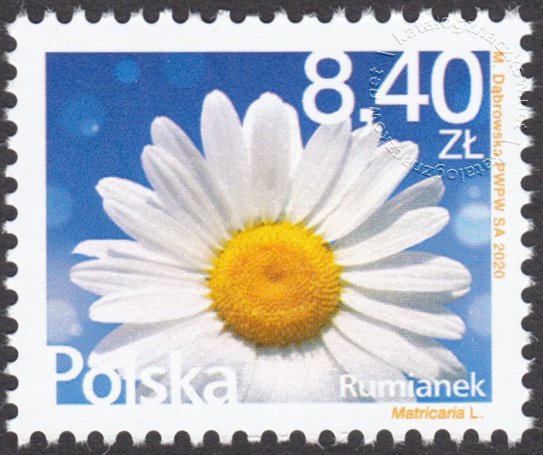 Kwiaty i owoce - 5054 - Katalog Polskich Znaczków Pocztowych